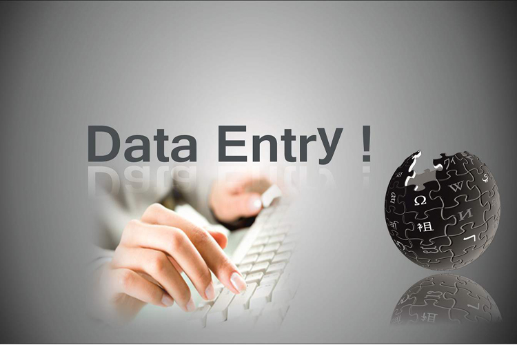 Data Entry Services Provider | Noida Exim Pvt. Ltd.